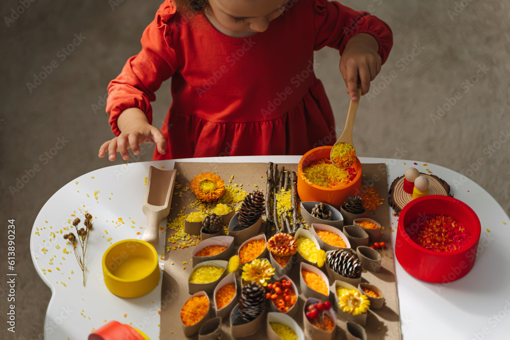 A little girl playing with autumn natural materials and make a tree ...