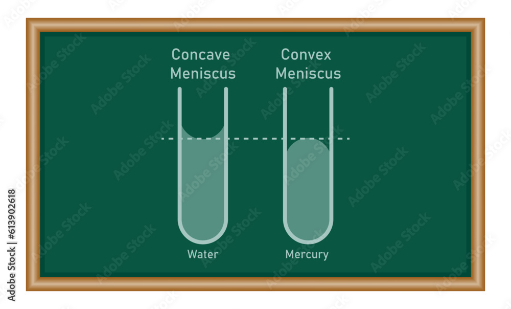 Cohesion And Adhesion Meniscus