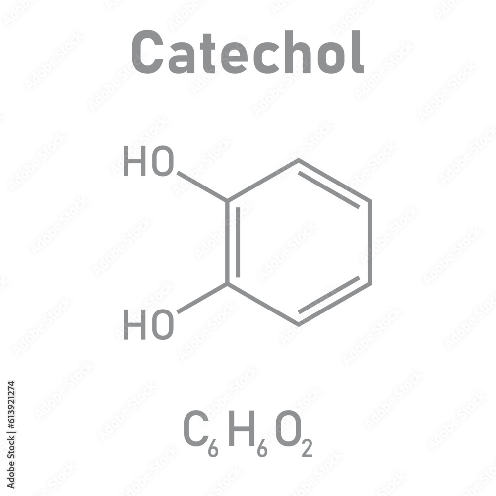 Chemical structure of Catechol (C6H6O2). Chemical resources for ...