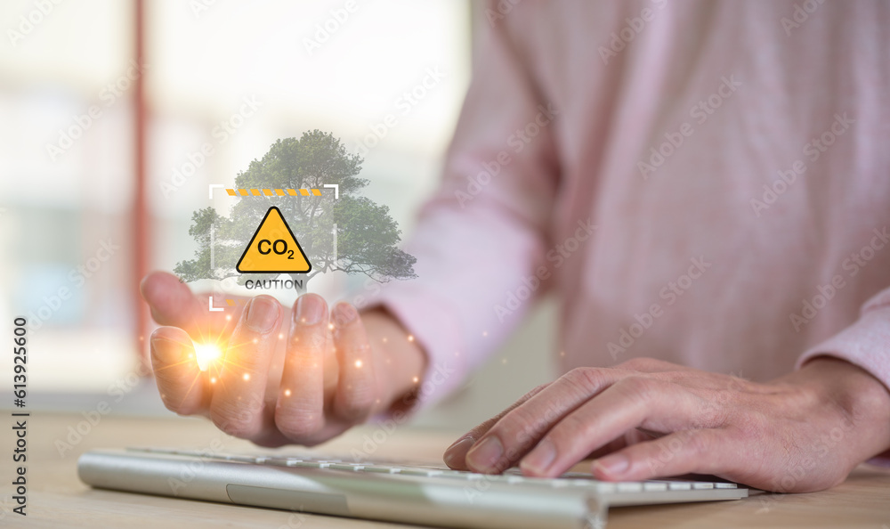 Reduce CO2 emission concept.Sustainable development and green business ...