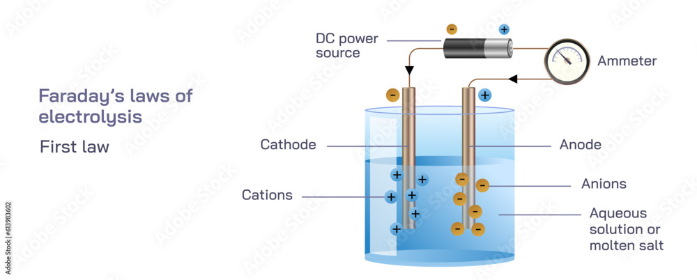 Vettoriale Stock Faraday's First Law and second law of Electrolysis ...