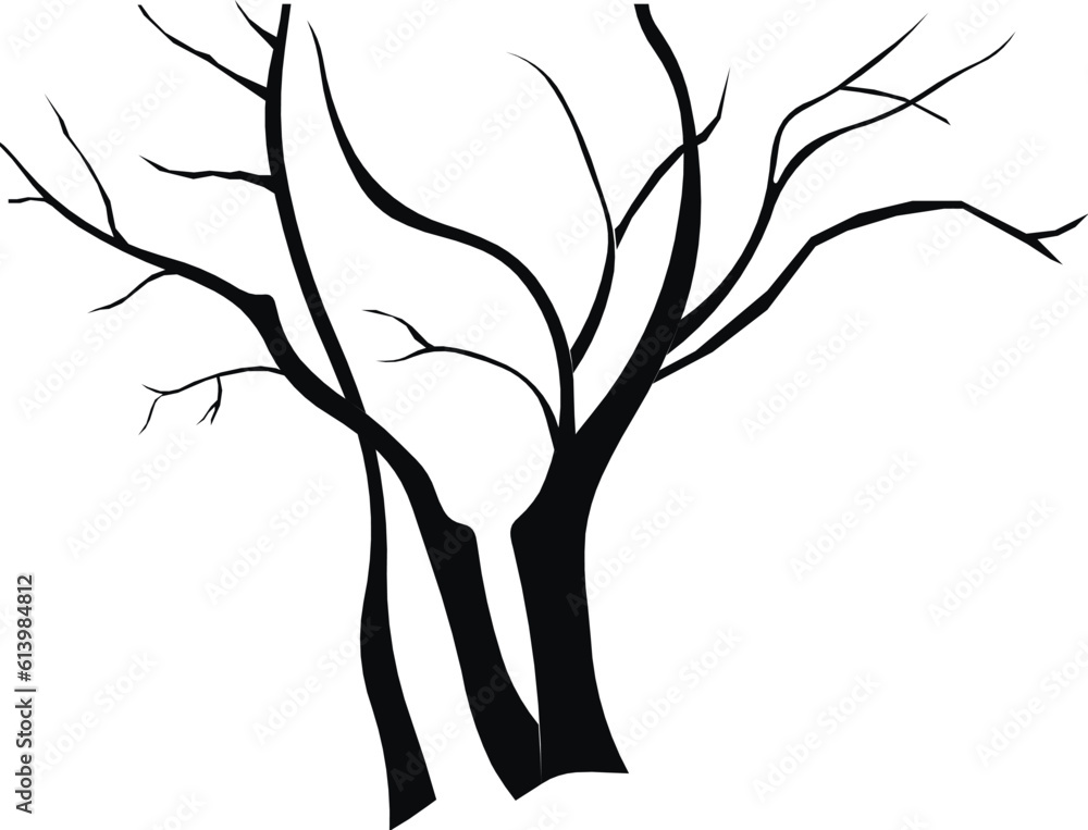 Figure Oak Red On A White Background Architectonics Of The Crown Of Red Oak The Structure Of