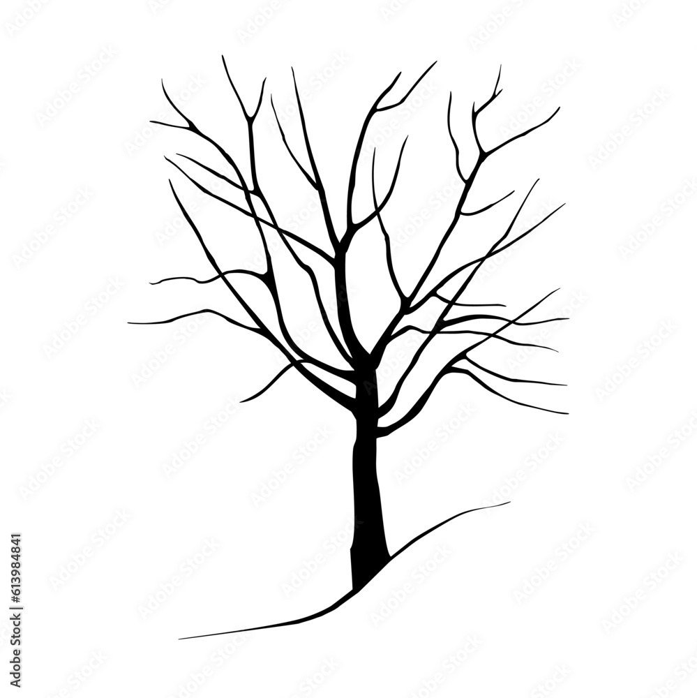 Figure oak red on a white background. Architectonics of the crown of ...