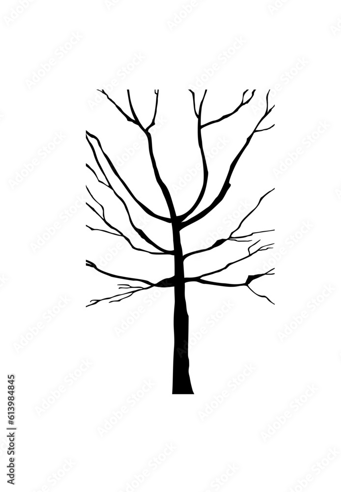 Figure oak red on a white background. Architectonics of the crown of ...