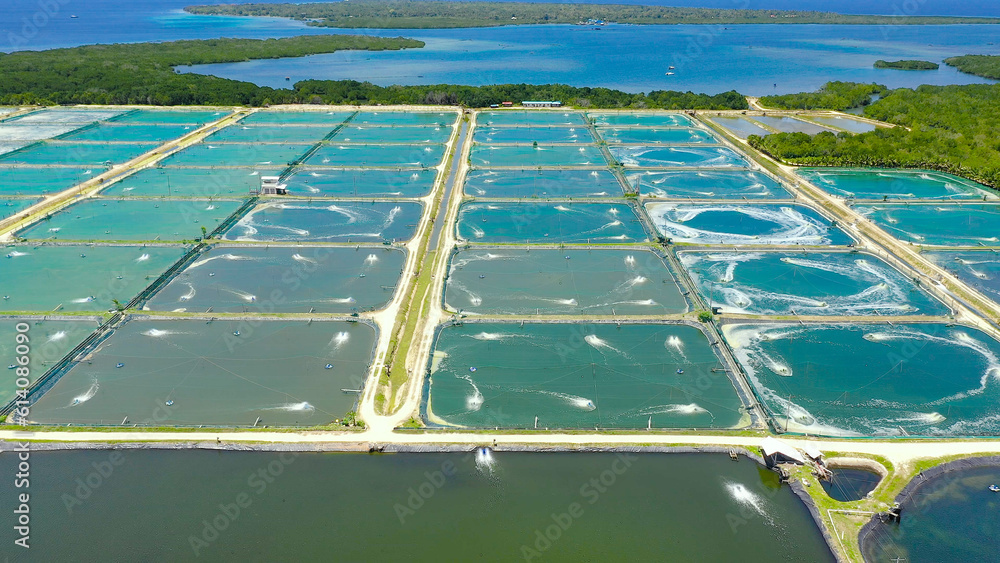 Aerial view of the prawn farm with aerator pump. Bohol, Philippines ...