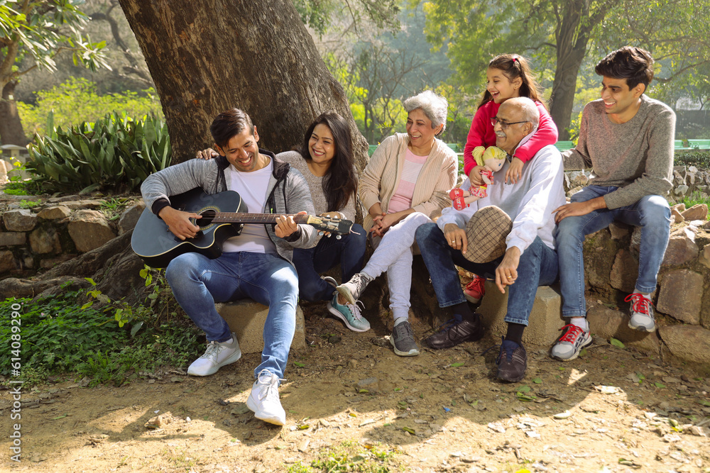 Happy Indian big family sitting on a pedestal under the shades of a ...