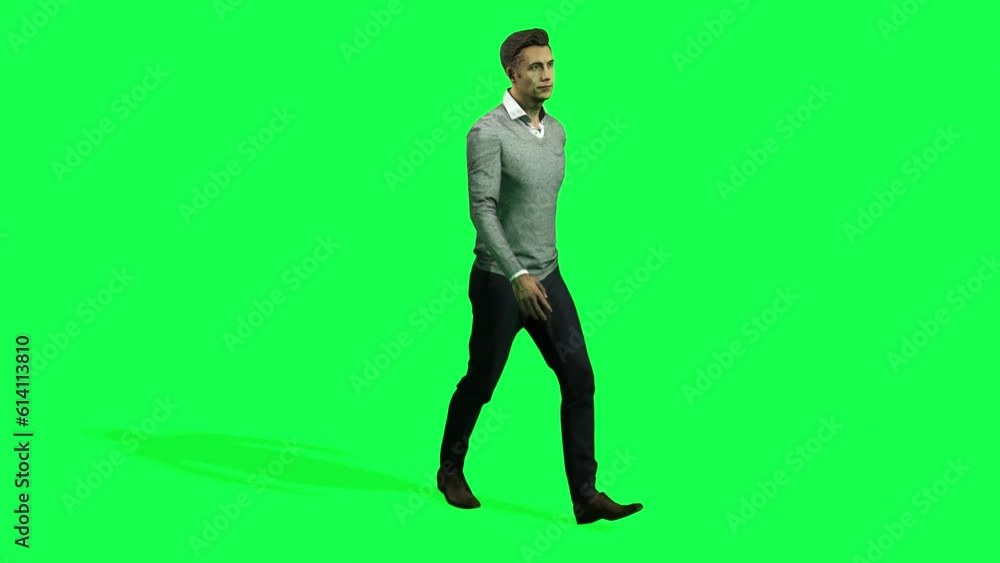 3d people in chroma key background isolated 3d handsome summer traveler ...
