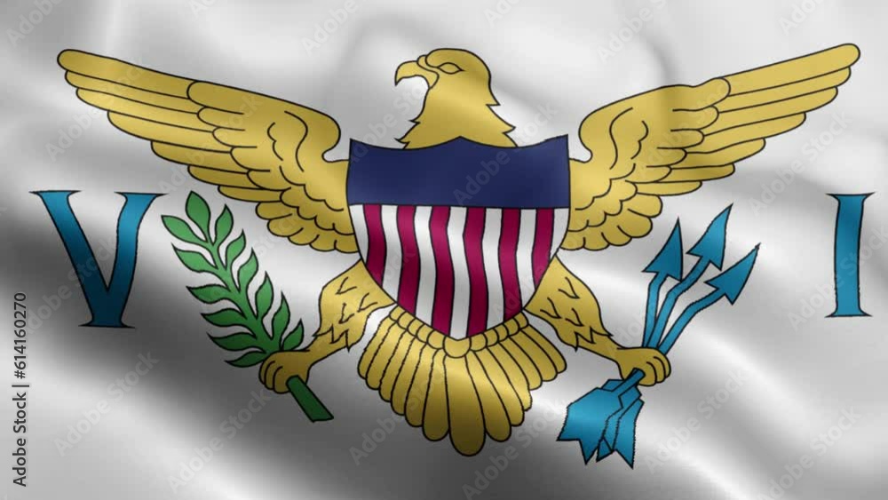 United States Virgin Islands Flag video waving in wind. United States ...
