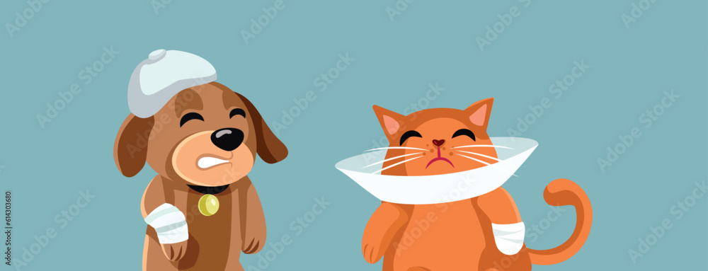 Hurt Pets Having Injuries waiting for Veterinary Care Vector Cartoon ...