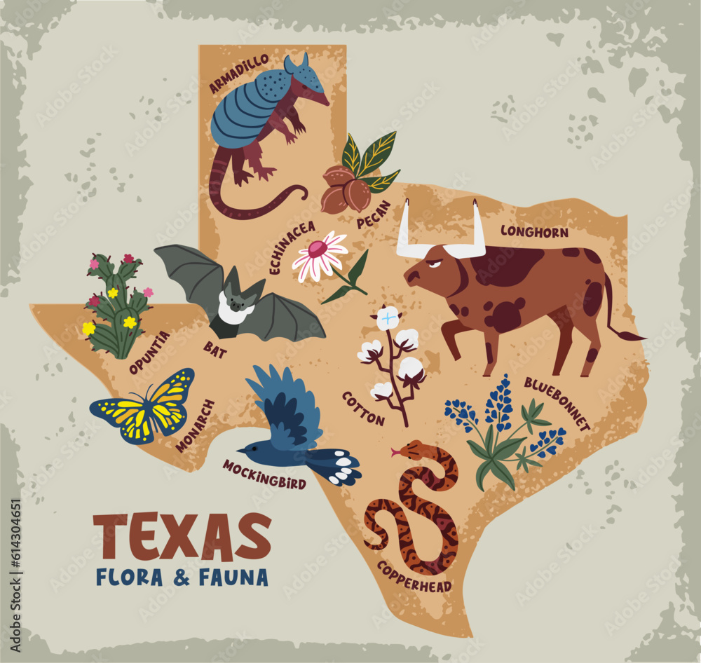Texas map with animals and plants. Vector illustration. Clipart ...