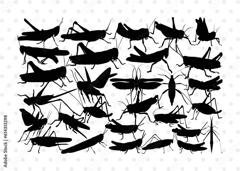 Grasshopper SVG Cut Files | Grasshopper Silhouette | Grasshopper Bug ...