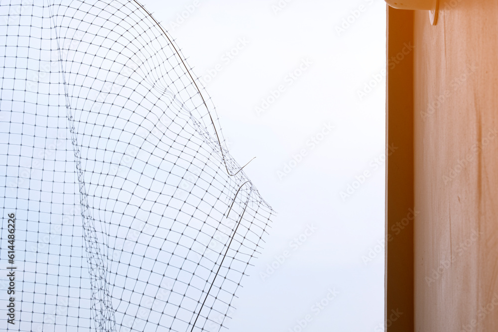 Install plastic net for protect pigeon bird in balcony apartment ...