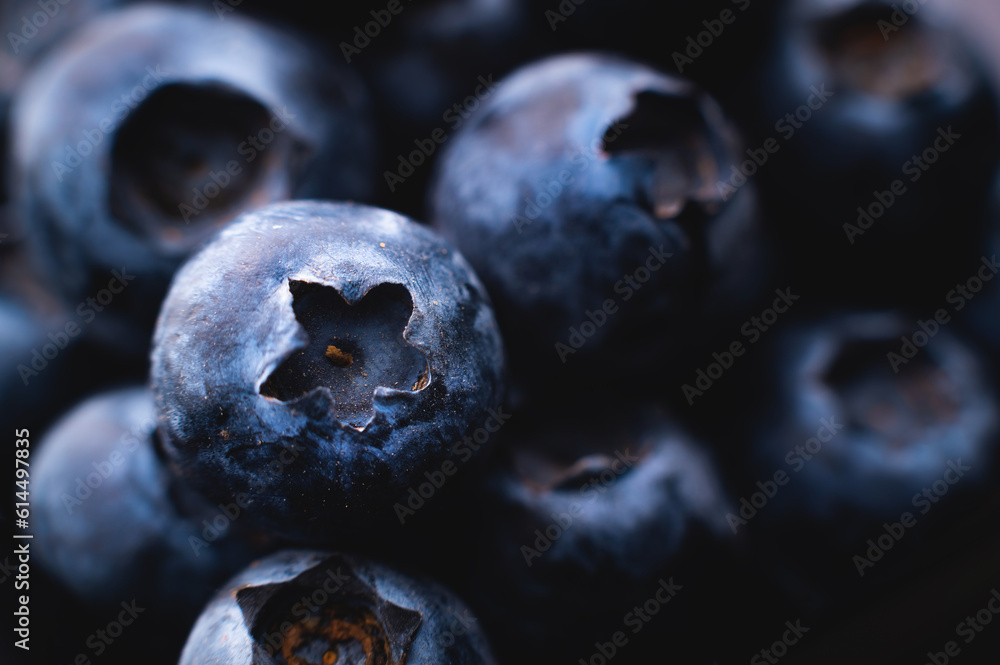 Background with fresh blueberries closeup. Blueberry macro photography ...