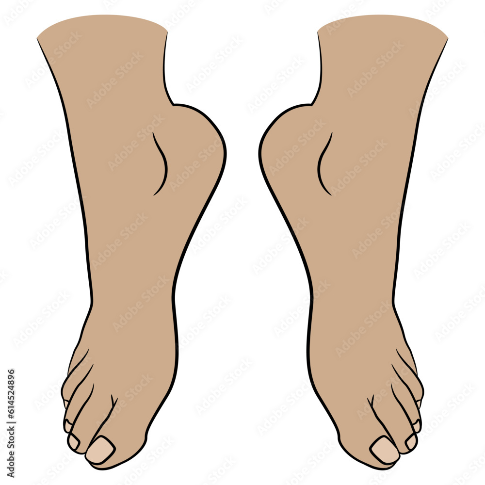 Two barefoot human feet standing on tiptoes. Cartoon style. Isolated ...