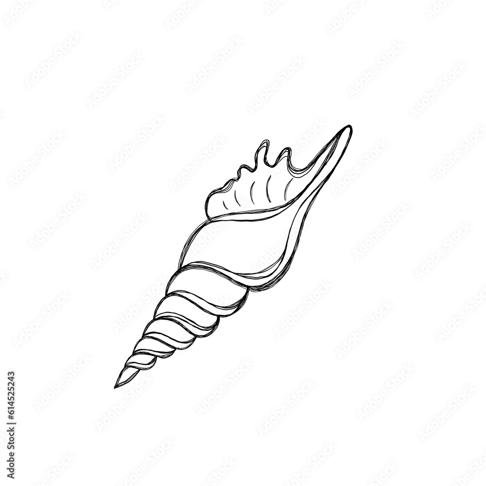 Line art illustration of a seashell. Shell tattoo idea. Hand drawn ...
