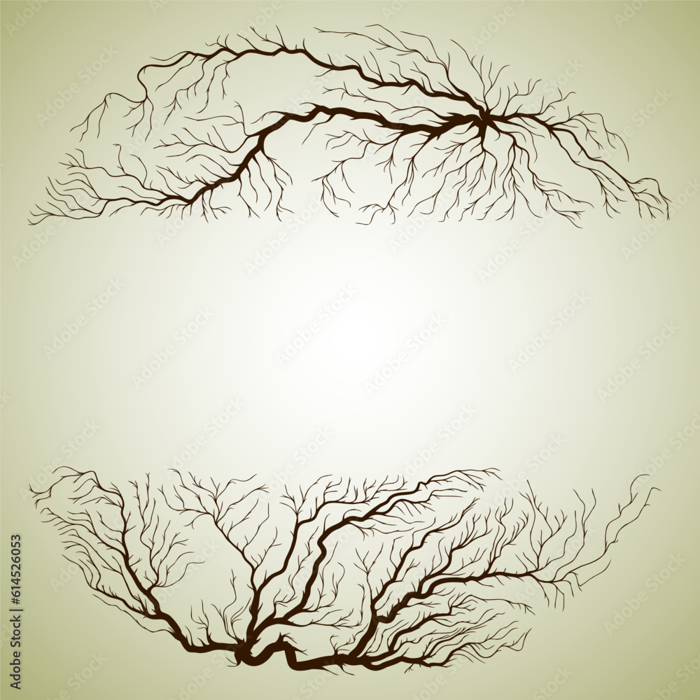 Abstract circle shape illustration of tree roots. Stock Vector | Adobe ...