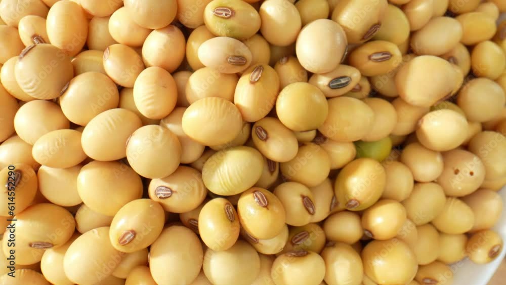 The soybeans appear oval-shaped and typically range in size from 5 to ...