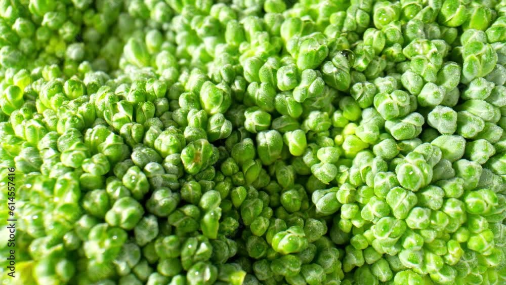 A captivating macro video showcases the intricate details of broccoli ...