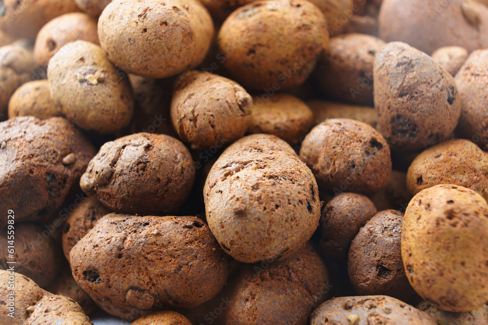 Expanded clay. small lumps of clay used in construction and for growing ...
