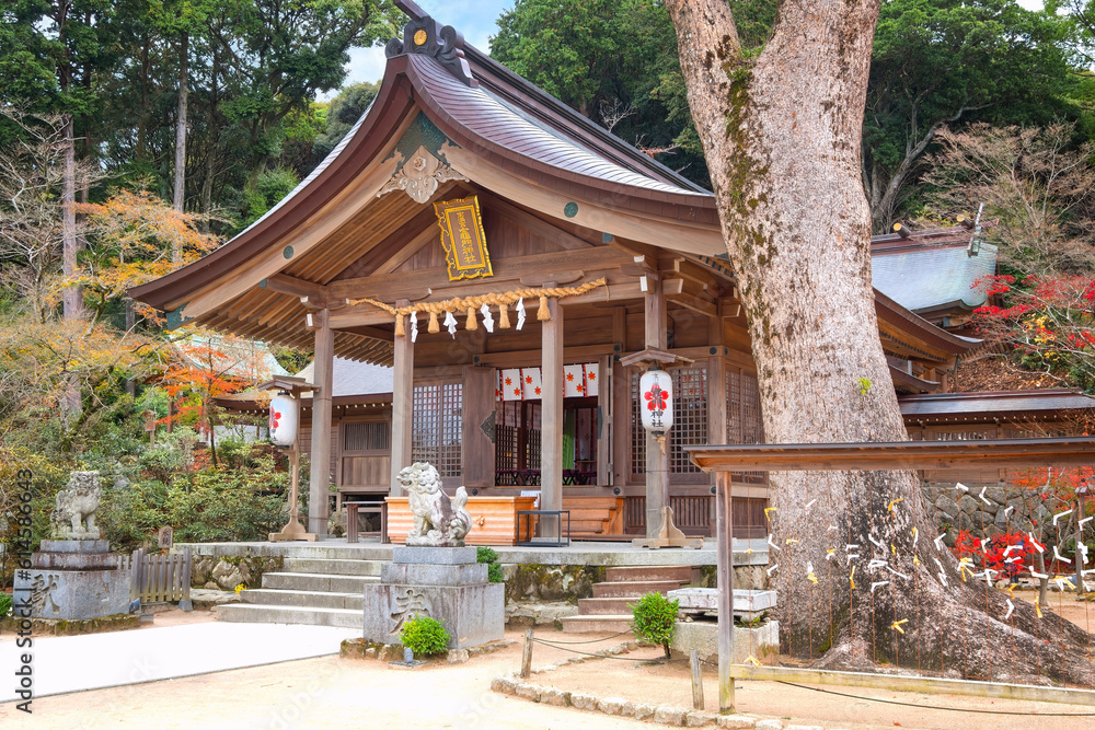 Fukuoka, Japan - Nov 30 2022: Homangu Kamado shrine located at Mt ...
