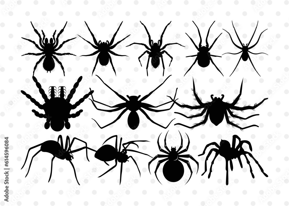 Spider Silhouette, Spider SVG, Arachnid Svg, Spider Web Svg, Cobweb Svg ...