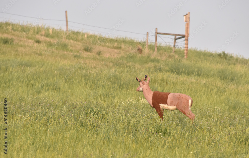 3D styrofoam target, Pronghorn Antelope or deer shaped, for archery ...