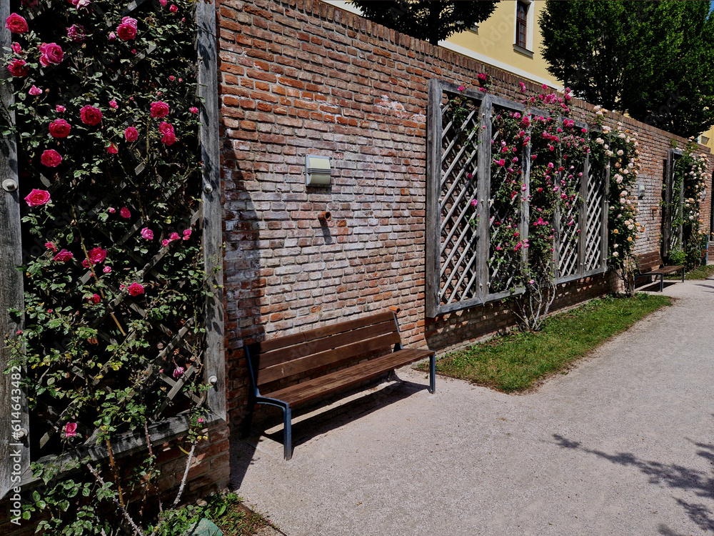 retaining walls and terraces with trellises and roses. Rectangular ...