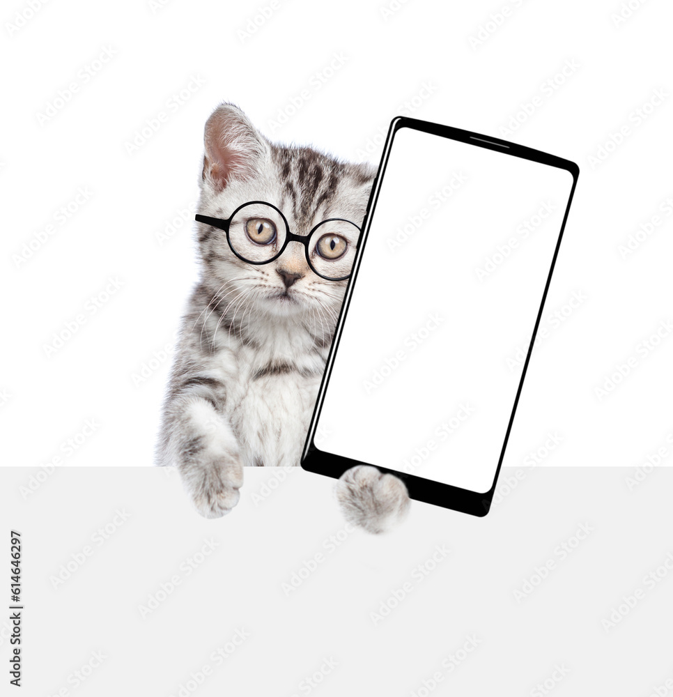 Smart cat wearing eyeglasses looks above empty white banner and shows ...