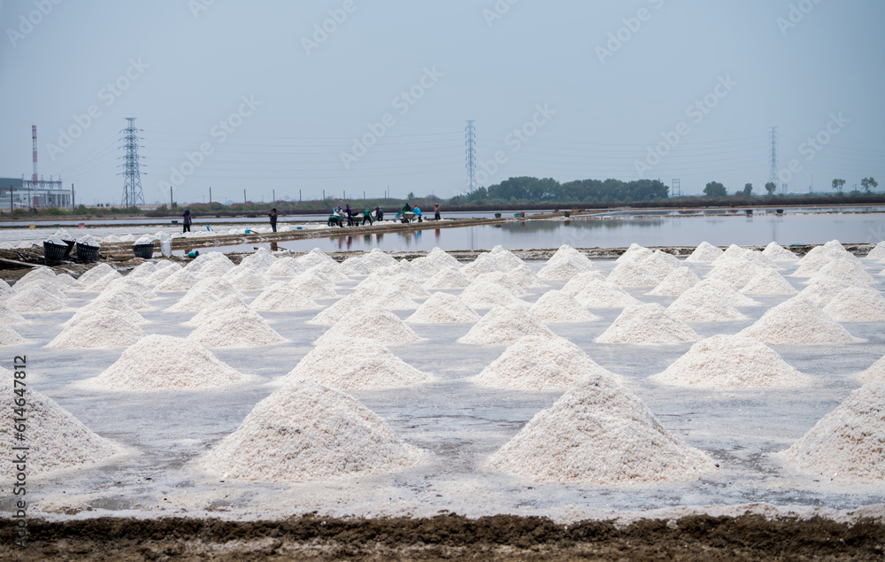 Sea salt farm in Thailand. Brine salt. Raw material of salt industrial ...