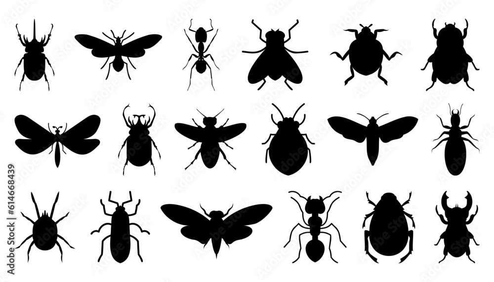 Black bug icon collection. Set of black beetle silhouette. Vector ...