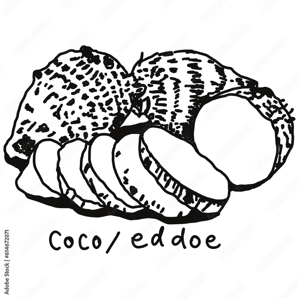 coco doodle drawing, line draw of fruit and food Иллюстрация Stock ...