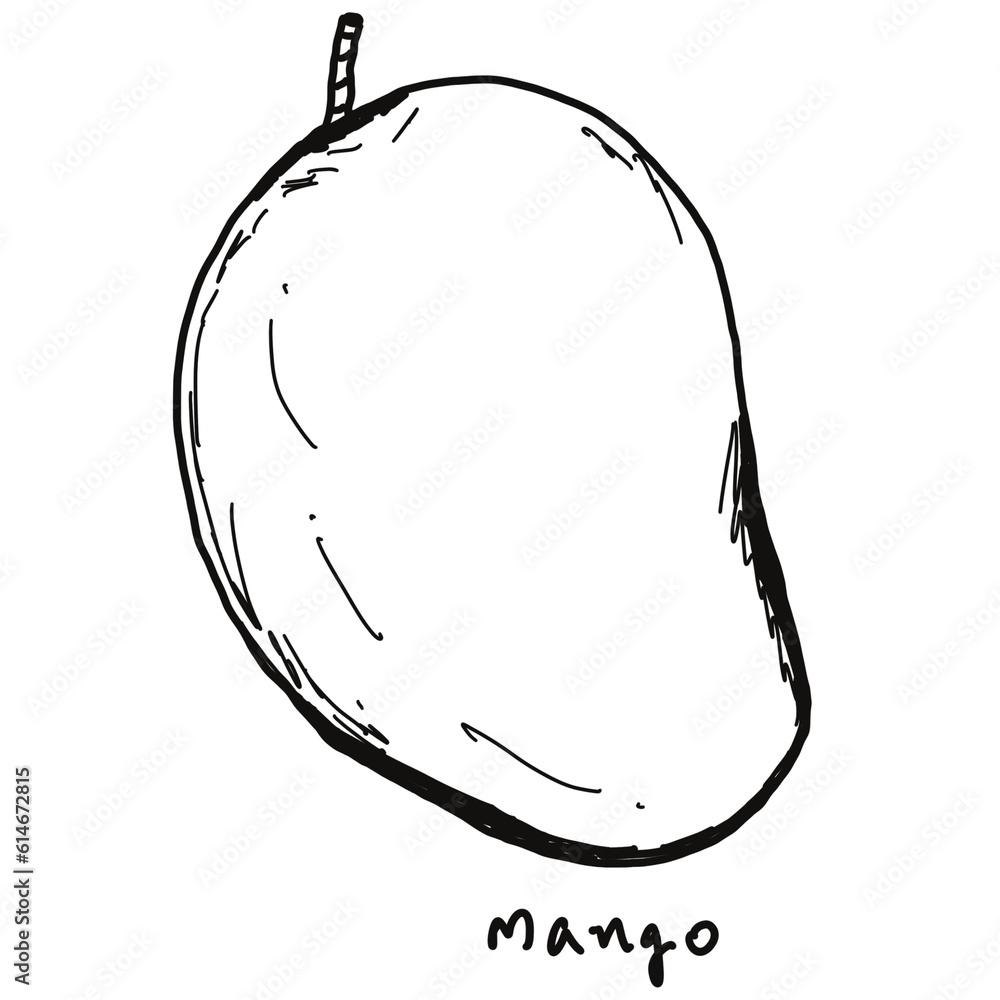 mango doodle drawing, line draw of fruit and food Stock Illustration ...