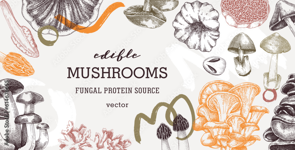 Collage-style mushrooms vector background. Trendy autumn forest plant ...