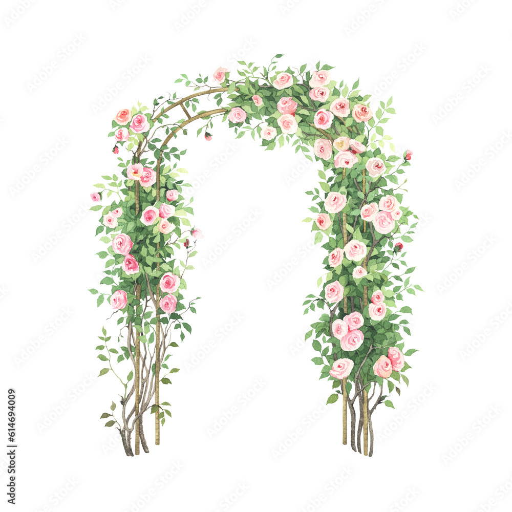Garden arch with delicate roses, isolated watercolor illustration for ...