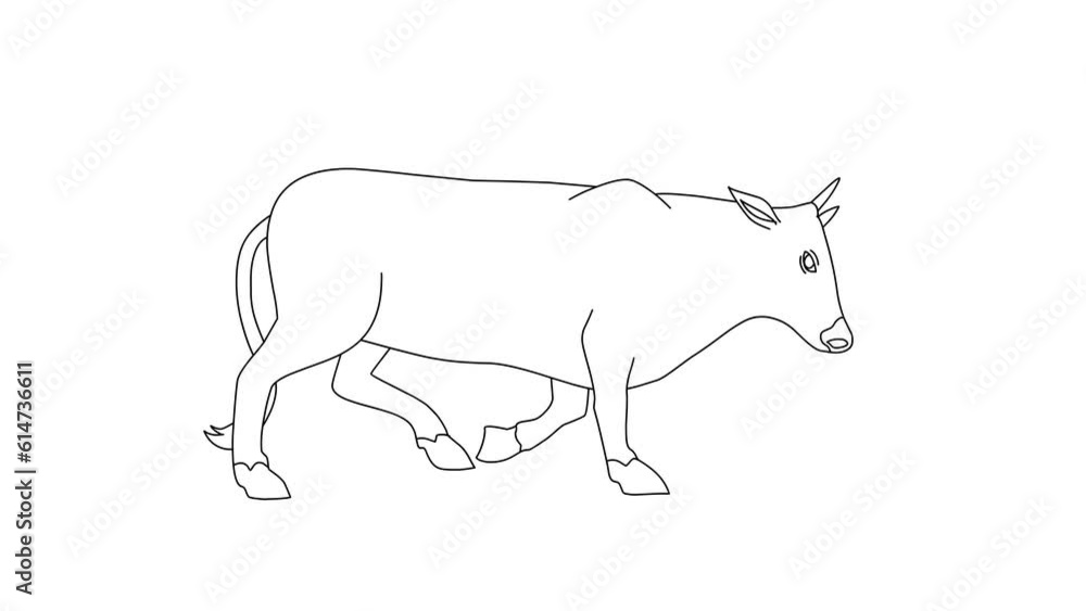 2d Hand Drawn Animation. Cow Animal Is Walking, Cartoon Character ...