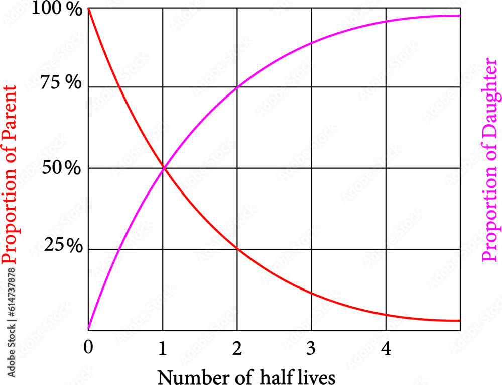 The half-life curve in nuclear chemistry represents the decay of ...