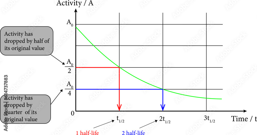 The half-life curve in nuclear chemistry represents the decay of ...