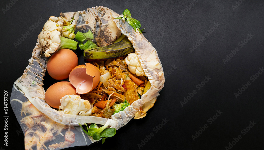 Impact of food waste on the environment, emphasizing the importance of ...