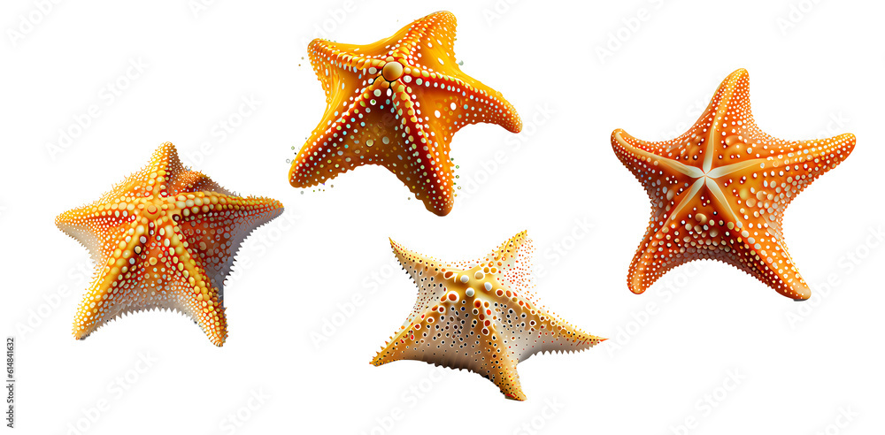 Star fish on transparent background, generative ai Stock Photo | Adobe ...