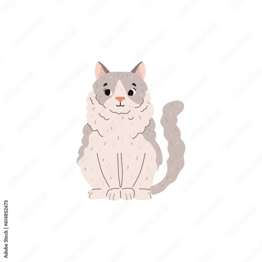 Fluffy ragdoll cat sitting, cartoon flat vector illustration isolated ...