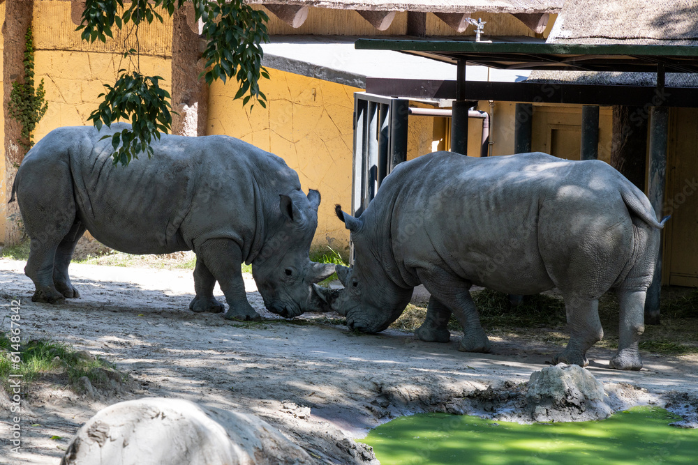 Biopark - Zoo of Rome. Family day together to discover wild animals ...