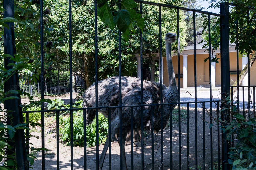 Biopark - Zoo of Rome. Family day together to discover wild animals ...