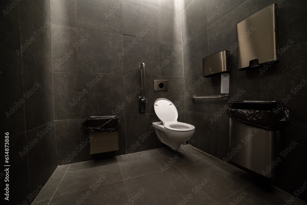 Poster Beautiful design of a public toilet and restroom – Wall Art ...