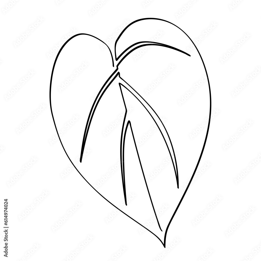 sirih piper betle plantae leaf in simple sketch vector single or ...