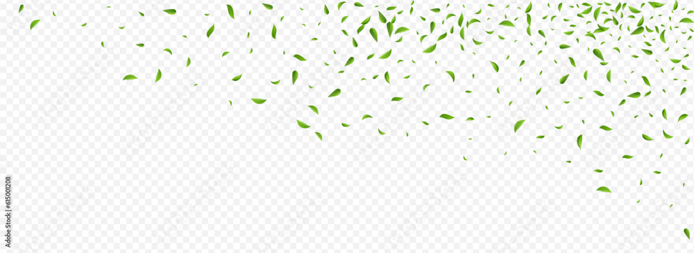 Forest Leaves Transparent Vector Panoramic Stock Vector | Adobe Stock