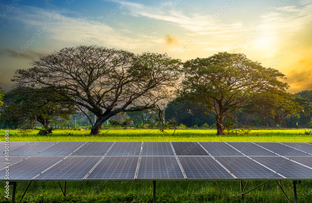 Photovoltaic modules solar power plan and view landscape of Rice field ...