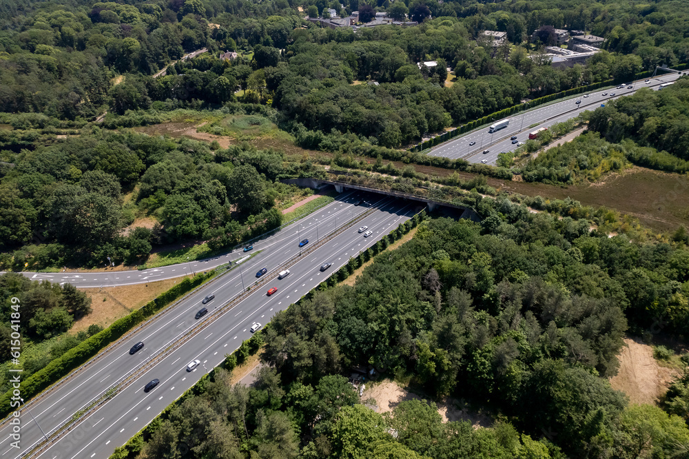 Wildlife crossing green corridor bridge for animals to migrate between ...