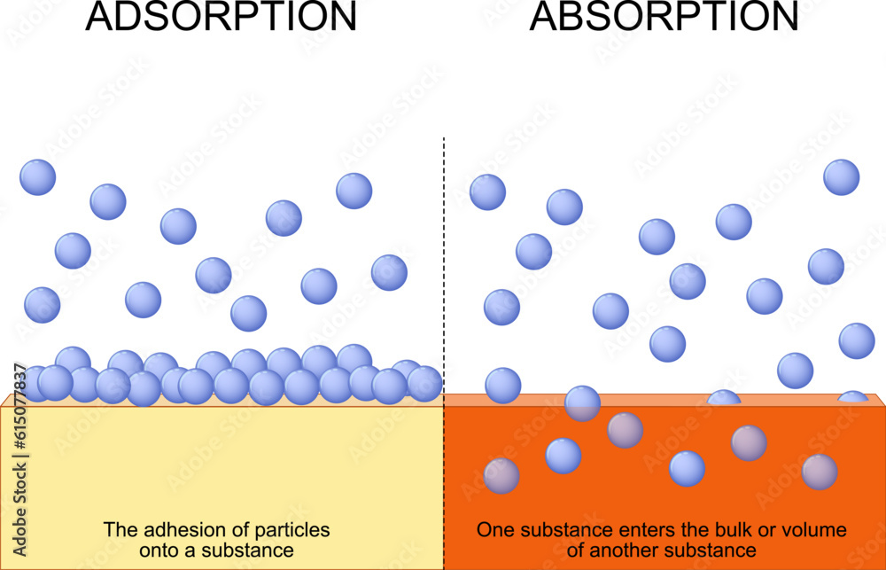 Difference between adsorption and absorption Stock Vector | Adobe Stock