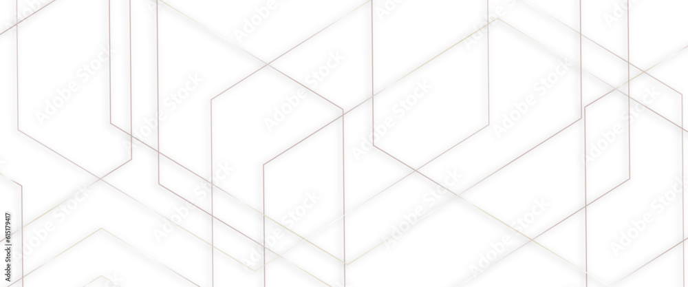 Elegant modern grey line background, abstract grey lines on white ...