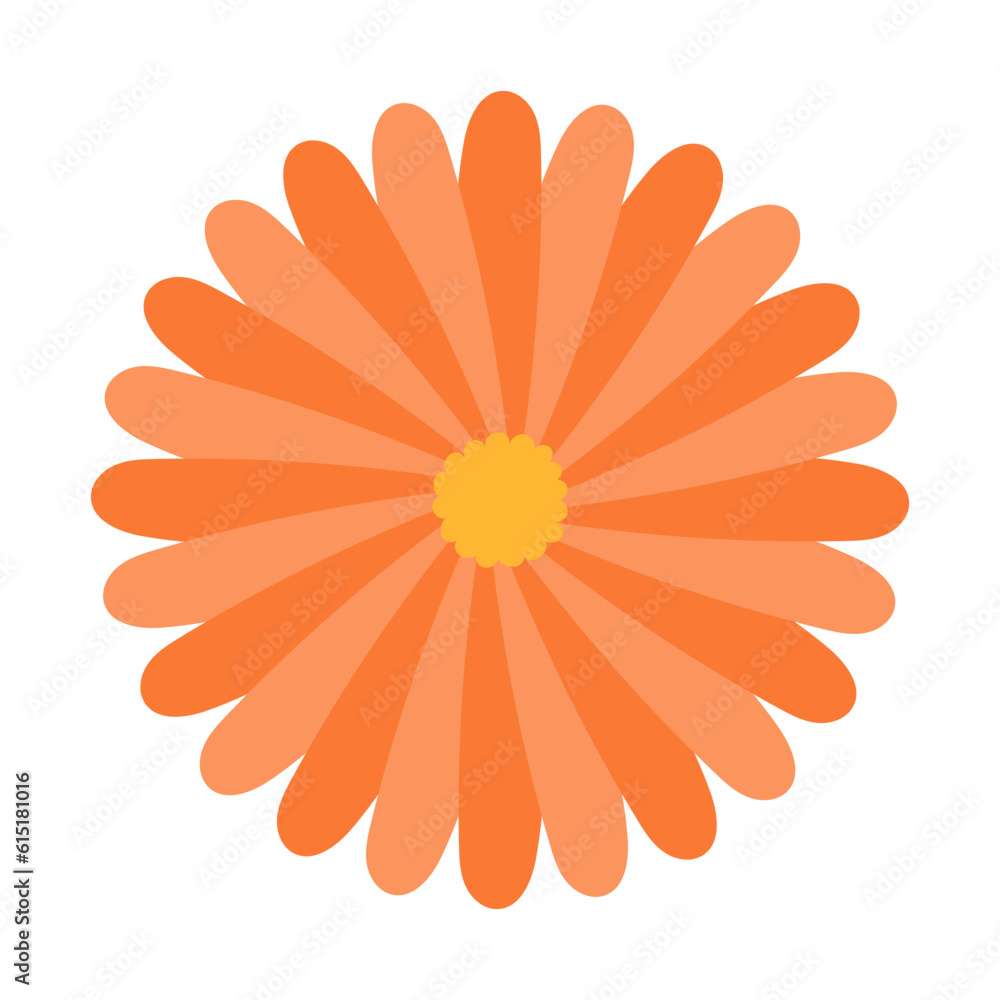 Gerbera flower hand drawn illustration. Flat cartoon style design ...